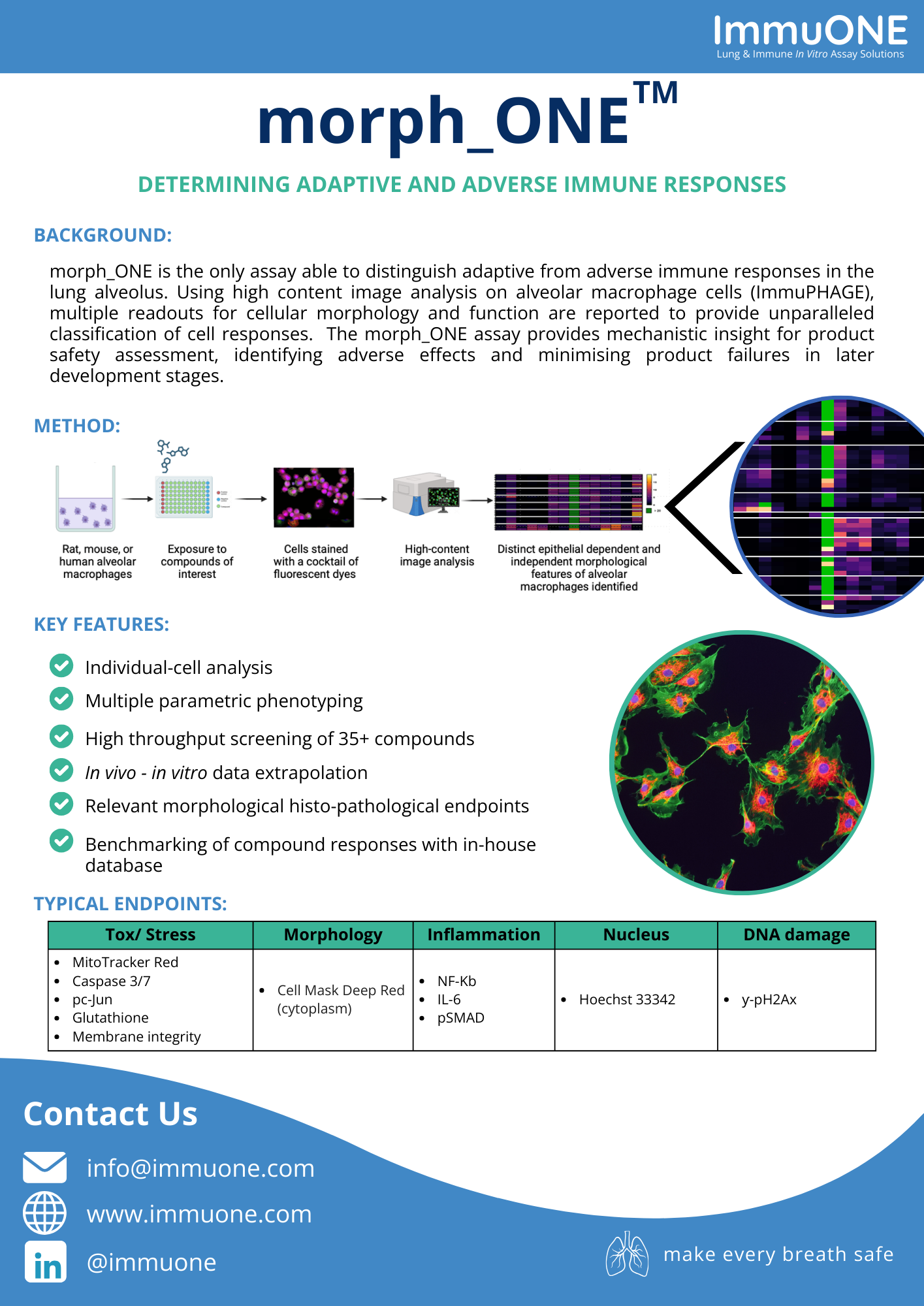 Alveolar macrophage assessments - ImmuONE™